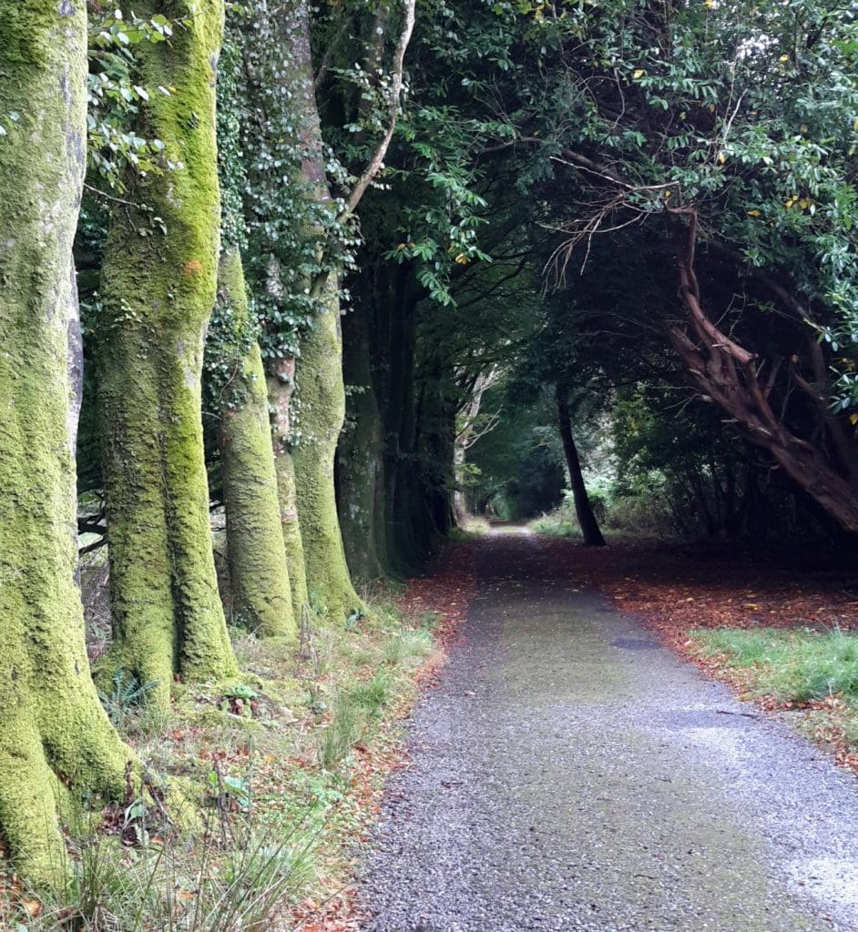 A Visual Guide to the Many Shades of Green in Ireland | DownshiftingPRO