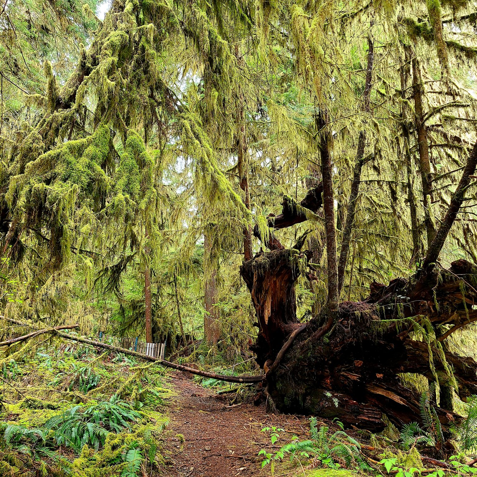 Best Places to Visit in the PNW: 15 Epic Pacific Northwest Vacation ...