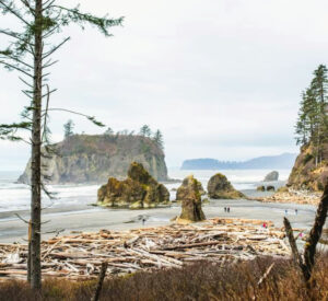 Indigenous Tourism in the Olympic Peninsula ~ DownshiftingPRO