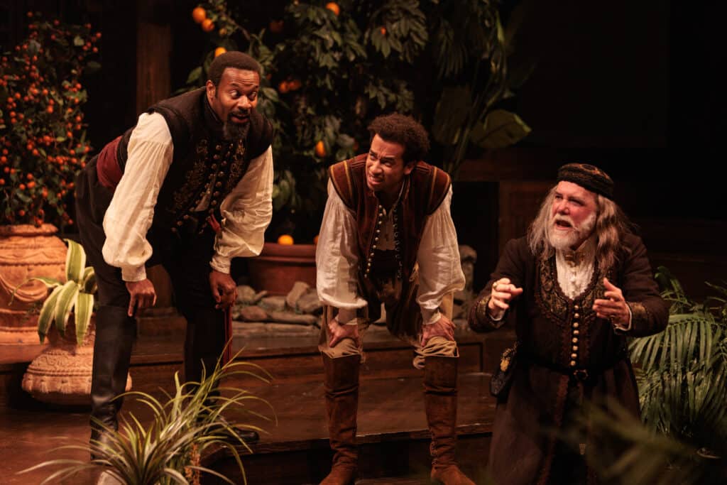 One of the Best Plays at Stratford this year: Much Ado About Nothing ...