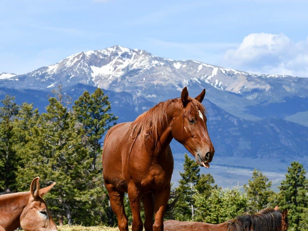 Age-Defying Escapes: 16 Thrilling Adventures for Mature Travelers ...