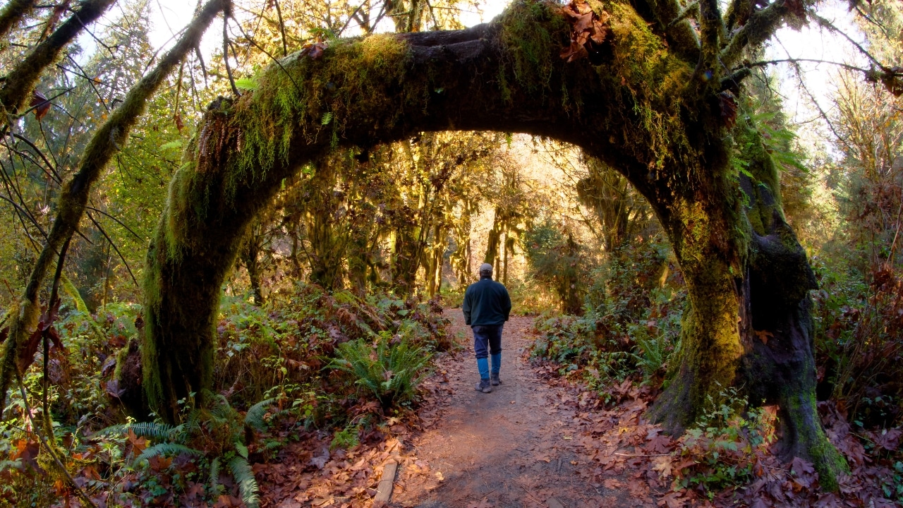 20 Iconic Landscapes That Will Take Your Breath Away on the Olympic ...